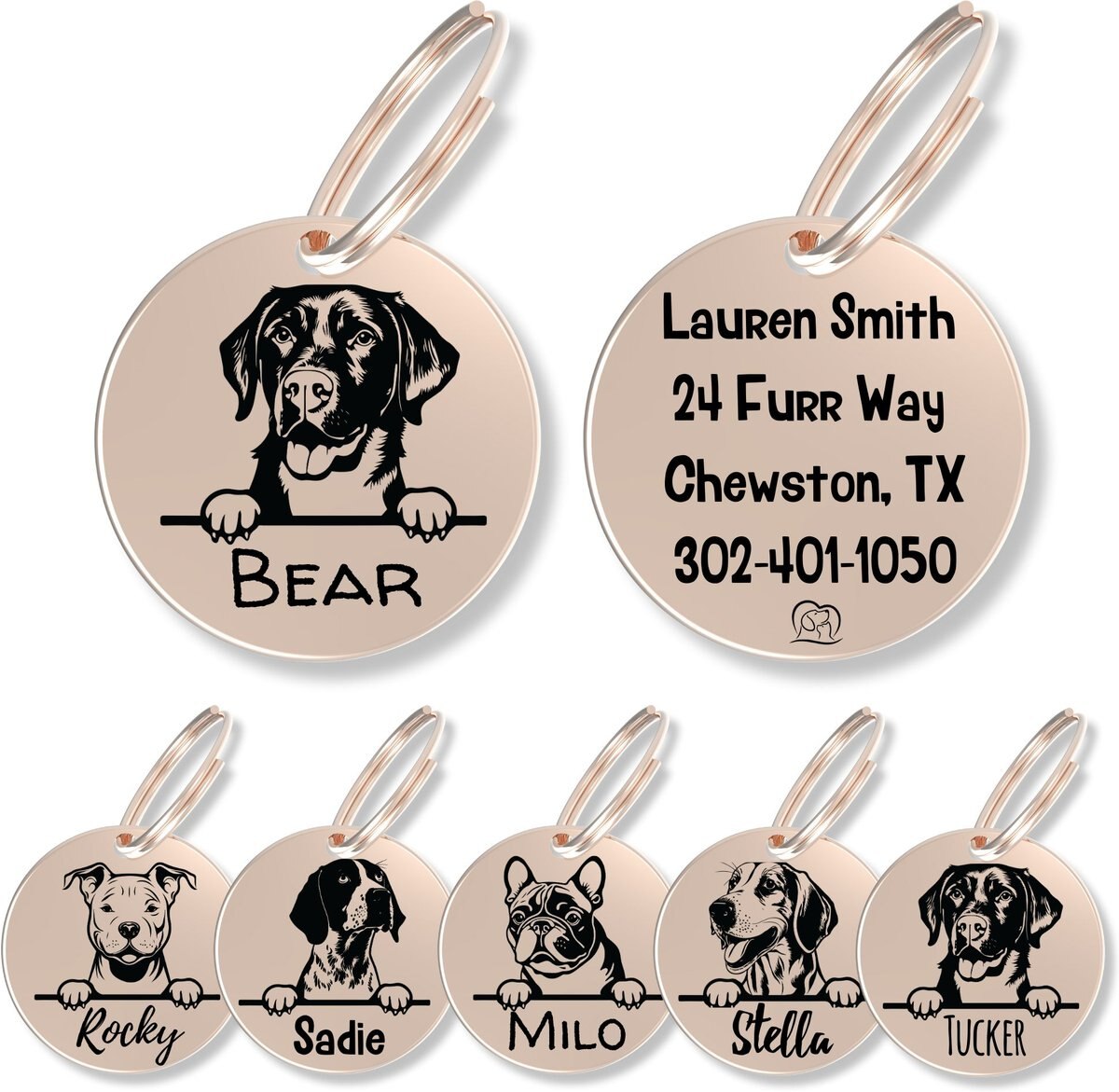PAWFUREVER Dog Breed Stainless Steel Personalized Dog ID Tag, Labrador ...