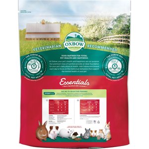 10 Best Rat Foods 2024: According to Reviews | Chewy