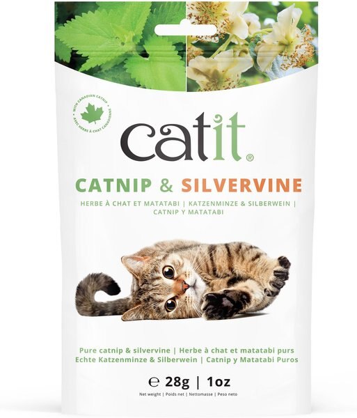 CATIT Catnip Silverine Mix, 1-oz bag - Chewy.com