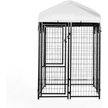 KENNELMASTER Vinyl Coated Welded Wire Boxed Dog Kennel, Black, 4-ft x 4 ...