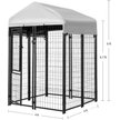 KENNELMASTER Vinyl Coated Welded Wire Boxed Dog Kennel, Black, 4-ft x 4 ...