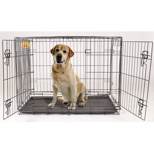 KENNELMASTER Folding Dog Kennel Crate, Black, 42-in x 28-in x 30-in ...