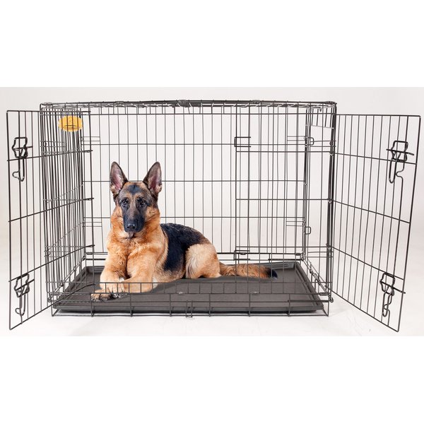 KENNELMASTER Folding Dog Kennel Crate, Black, 48-in x 30-in x 33-in ...
