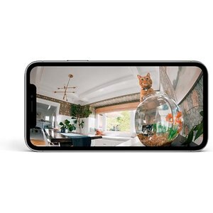 10 Best Dog Cameras & Monitors 2025: According to Reviews | Chewy