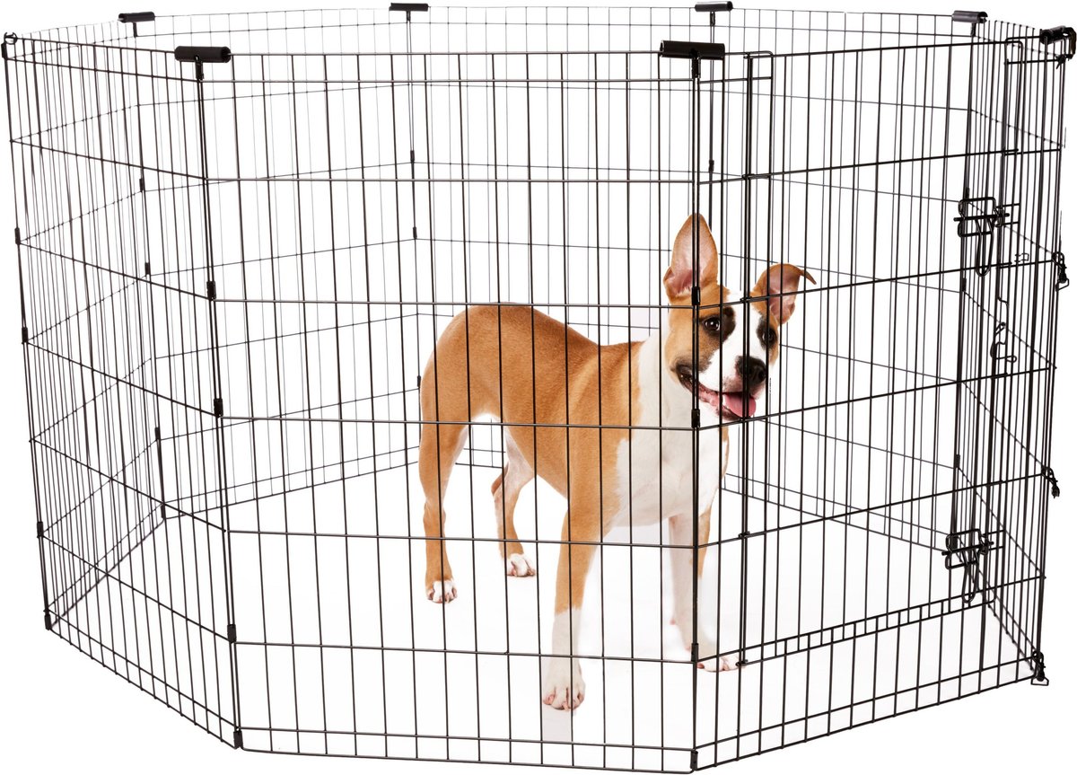 FRISCO Dog & Small Pet Wire Exercise Pen with Step-Through Door, Black ...