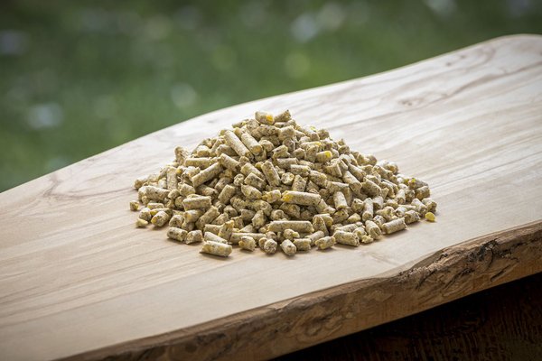 Discontinued - MODESTO MILLING Organic 17% Protein Flock Developer ...