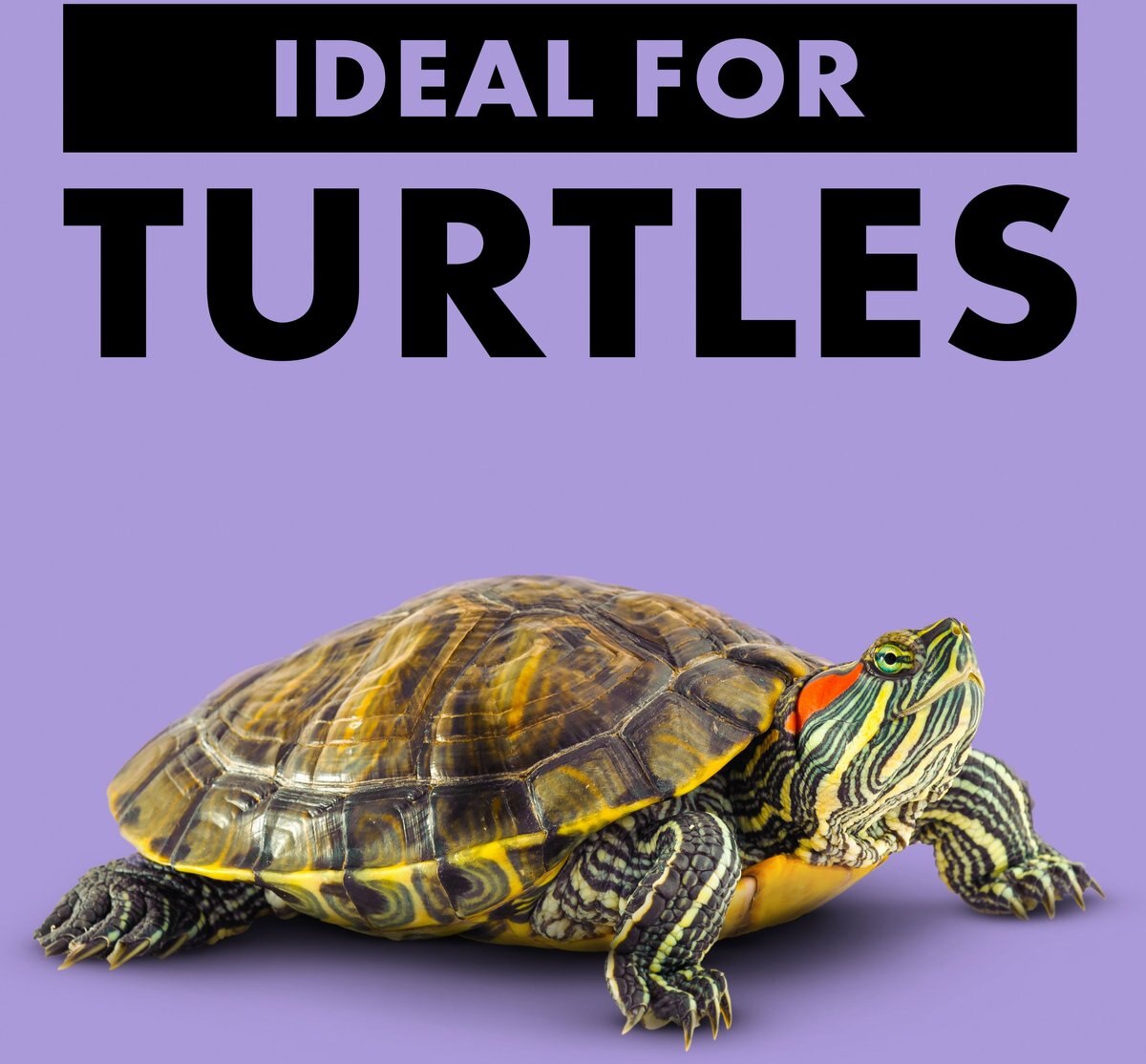 ZILLA Reptile Munchies River Shrimp Turtle Food, 2-oz bag - Chewy.com