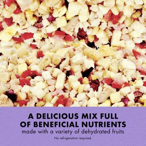 10 Best Foods for Lizards 2025: According to Reviews | Chewy