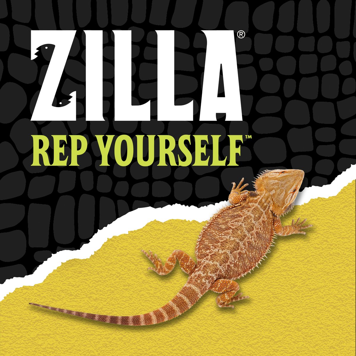 ZILLA Ground English Walnut Shell Reptile Bedding, 5-qt bag - Chewy.com