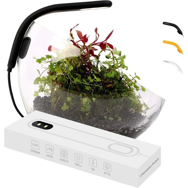 10 Best Freshwater Aquarium Lights 2024: According to Reviews | Chewy