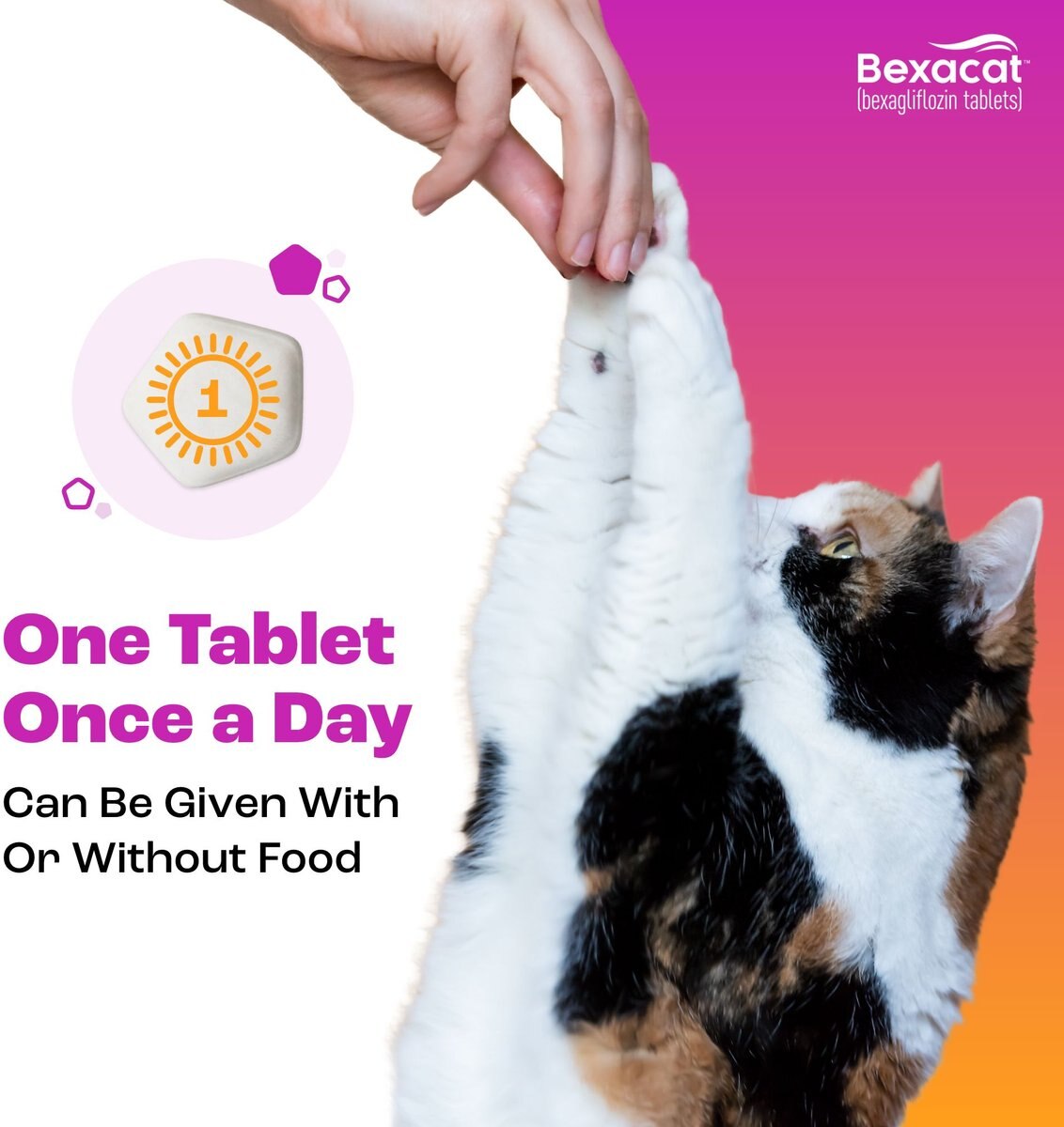 BEXACAT Flavored Tablets for Cats, 15mg - Easy Refills | Chewy Rx