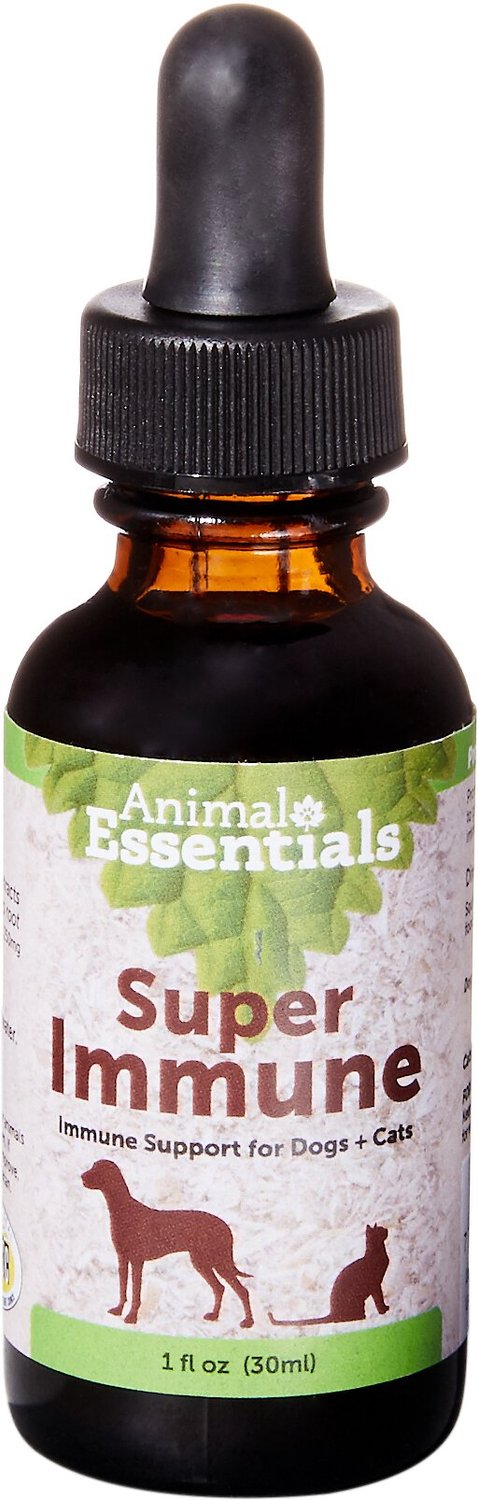 ANIMAL ESSENTIALS Super Immune Support Dog & Cat Supplement, 1-oz ...