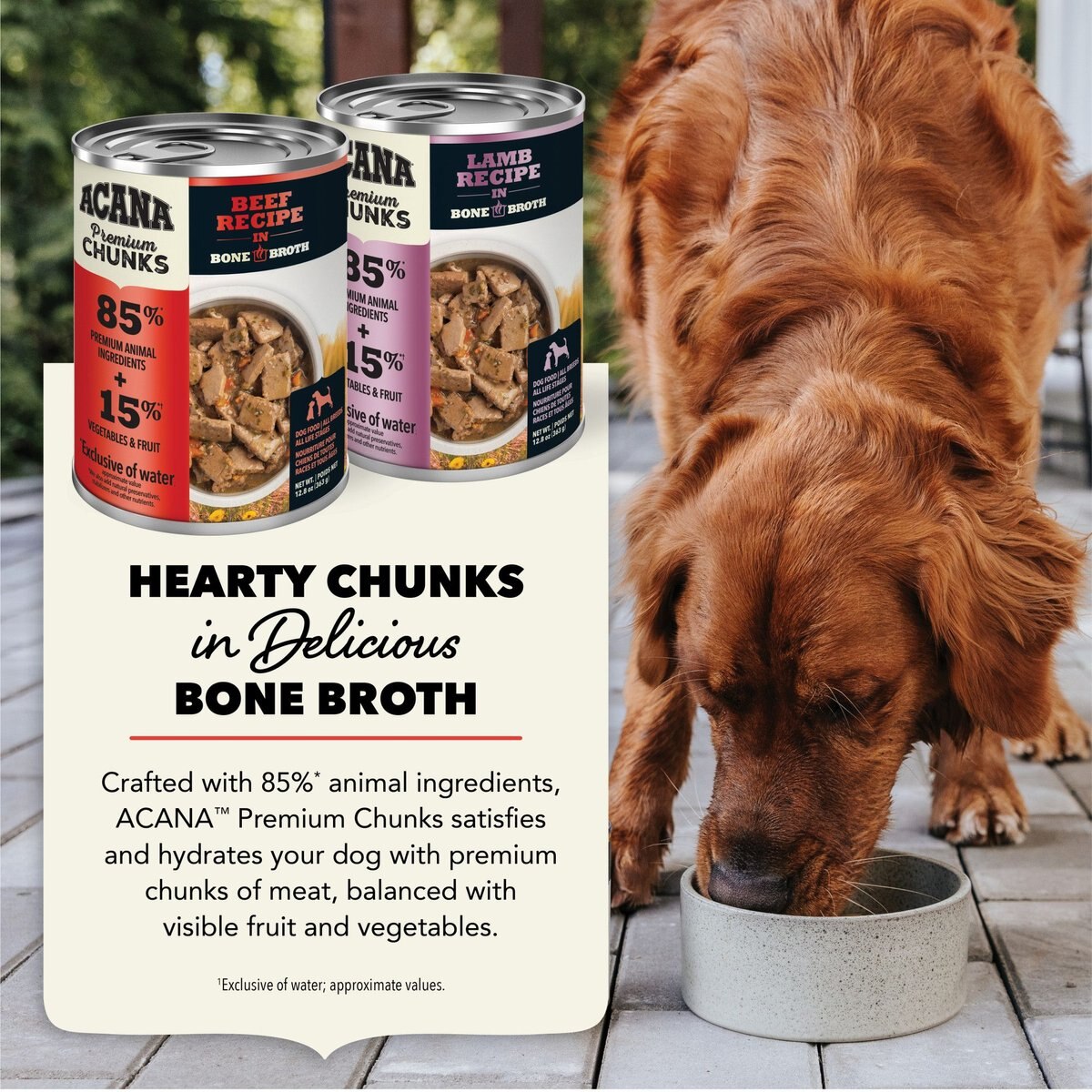 ACANA Lamb & Beef Recipe Variety Pack Grain-Free Wet Dog Food, 12.8-oz ...