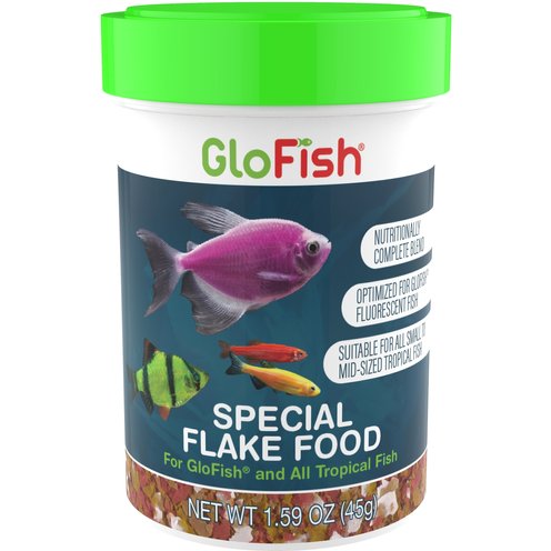 GloFish - Free shipping | Chewy