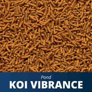 10 Best Pond Fish & Koi Foods 2025: According to Reviews | Chewy