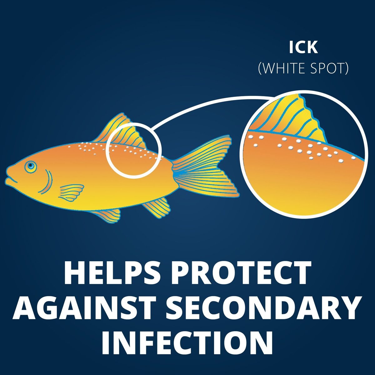 TETRA Ick Guard Fast Remedy Ick Treatment, 8 count - Chewy.com