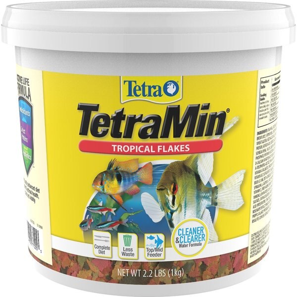 TETRAMin Tropical Flakes Fish Food, 2.20-lb bucket - Chewy.com
