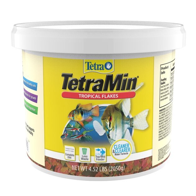 TETRAMin Tropical Flakes Fish Food, 4.52-lb bucket - Chewy.com