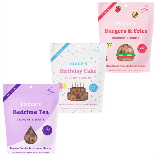 Pet Birthday Gifts For Dogs & Cats - Free Shipping | Chewy