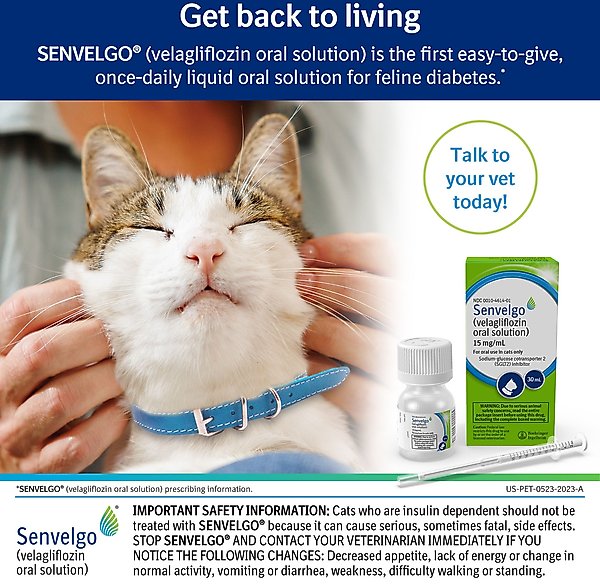 SENVELGO (velagliflozin oral solution) Oral Hypoglycemic for Cats, 15 ...