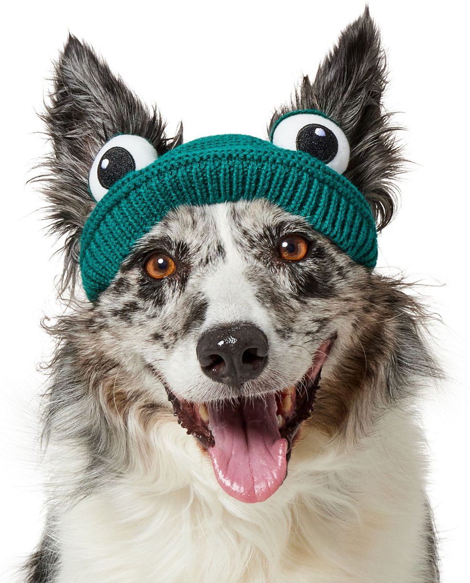 FRISCO Knitted Frog Dog & Cat Hat, Medium/Large - Chewy.com