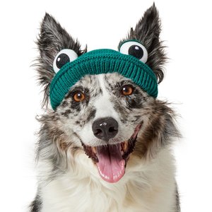 FRISCO Knitted Frog Dog & Cat Hat, Medium/Large - Chewy.com