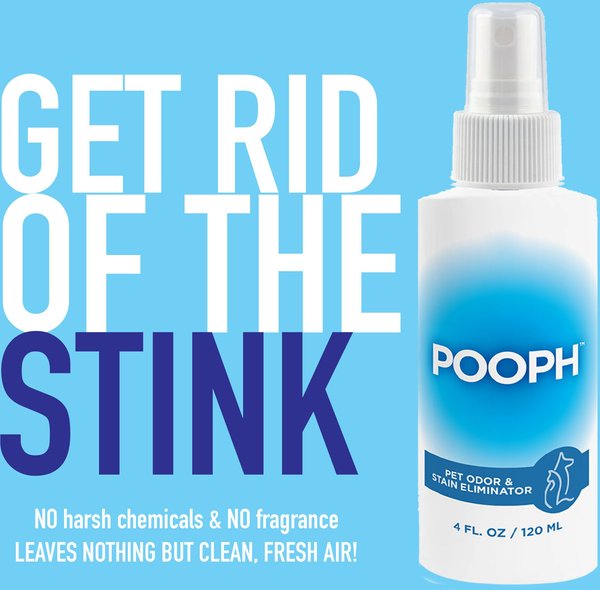 POOPH Cat & Dog Odor & Stain Eliminator, 4-fl oz bottle - Chewy.com