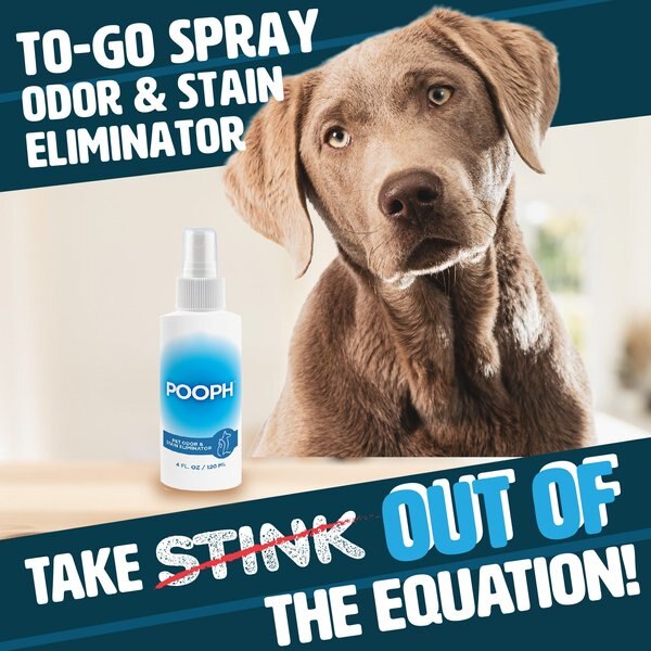 POOPH Cat & Dog Odor & Stain Eliminator, 4-fl oz bottle - Chewy.com