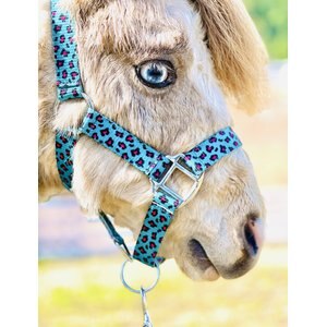 Out of Stock - STAR POINT HORSEMANSHIP Mini-Pony Printed Horse Halter ...