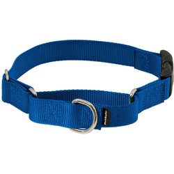 COLLARS FOR EXTRA LARGE & GIANT DOGS (Free Shipping) | Chewy