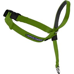 EXTRA SMALL & TOY BREEDS DOG HARNESSES - FREE SHIPPING | CHEWY