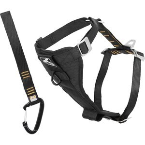 SMALL BREED DOG HARNESSES (Free Shipping) | Chewy