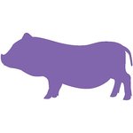 Mazuri - Free shipping | Chewy