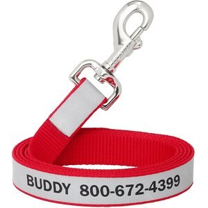 LARGE DOG LEASHES (Free Shipping) | Chewy