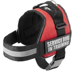 EXTRA SMALL & TOY BREEDS DOG HARNESSES - FREE SHIPPING | CHEWY