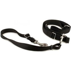 LARGE DOG LEASHES (Free Shipping) | Chewy