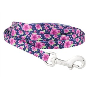 LARGE DOG LEASHES (Free Shipping) | Chewy