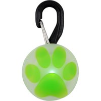 Custom Dog Tags - Page 17 (Free Shipping) | Chewy