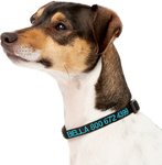 Custom & Personalized Dog Items - Page 2 (Free Shipping) | Chewy