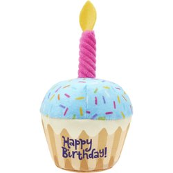 Pet Birthday Gifts For Dogs & Cats - Free Shipping | Chewy