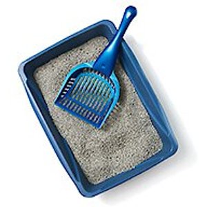 Save 50% on select cat items with first time Autoship - Free shipping ...