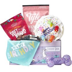 Pet Birthday Gifts For Dogs & Cats - Free Shipping | Chewy