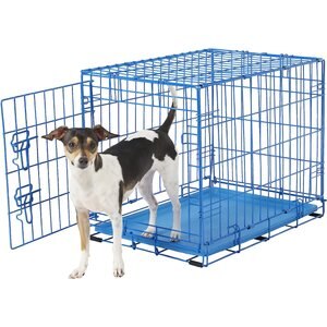 New Dog Essentials - Free shipping | Chewy